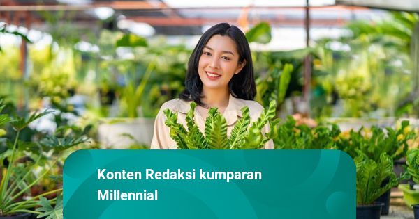 Mau Adaptasi Green Lifestyle Yuk Mulai Dari 5 Kebiasaan Ini